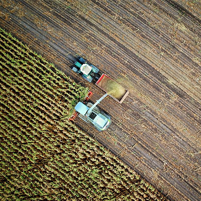 Detection Of Rice Sheath Blight Using An Unmanned Aerial System With ...